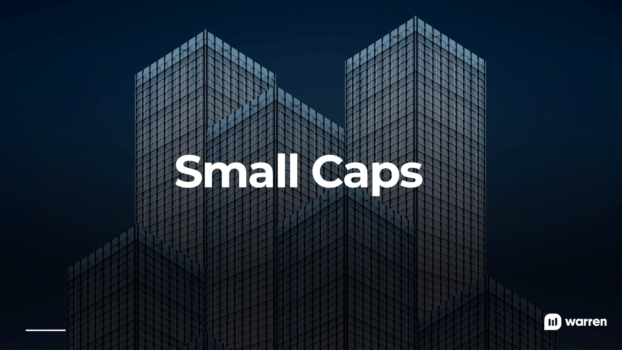 Small caps: como selecionar as empresas mais promissoras da Bolsa | Warren