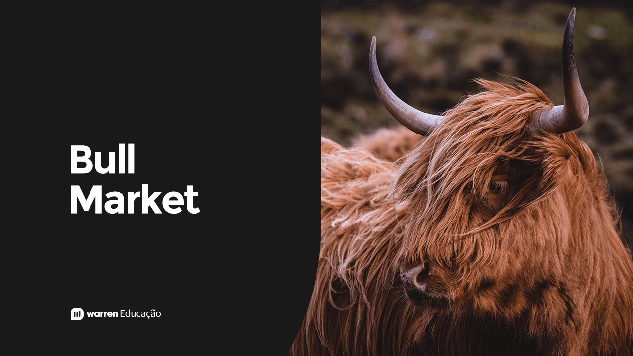 Bull market: tudo o que você precisa saber