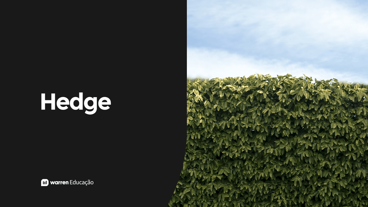 Hedge: tudo o que você precisa saber