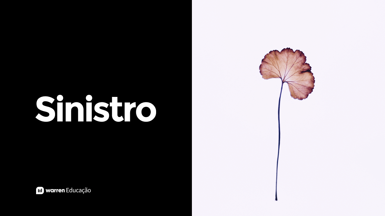 Sinistro: entenda o que significa esse termo do mercado de seguros